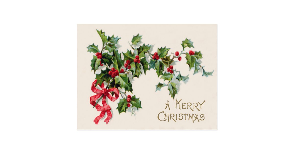 Holly Winterberry Red Ribbon Postcard | Zazzle.com