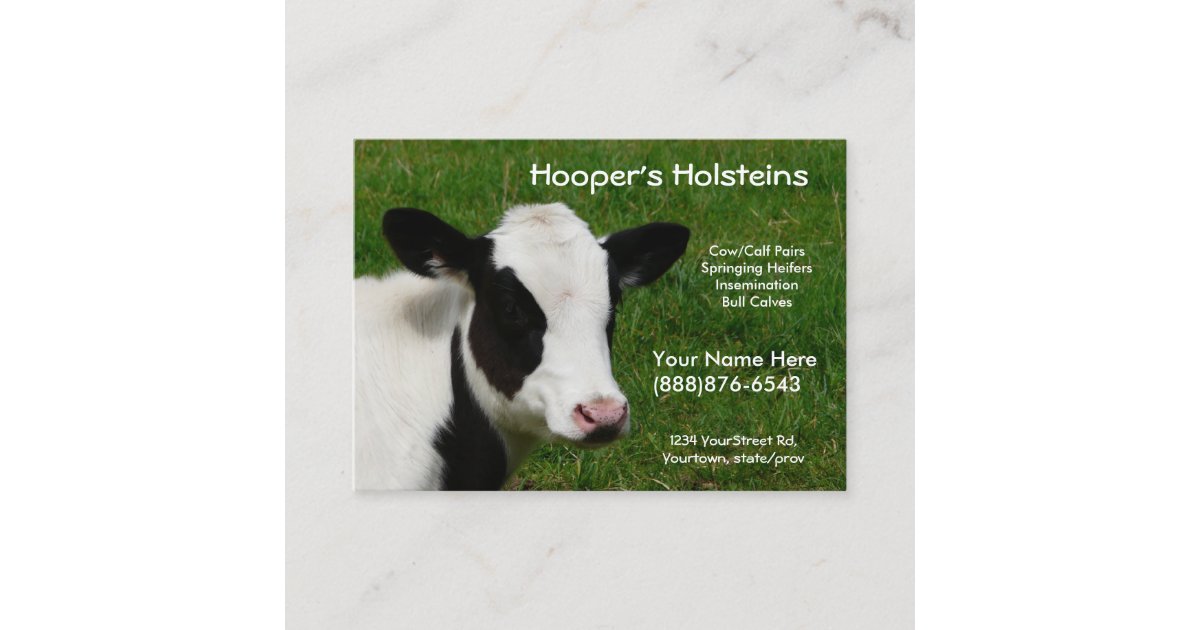 Holstein Cow Dairy Cattle Ranch Business Card | Zazzle