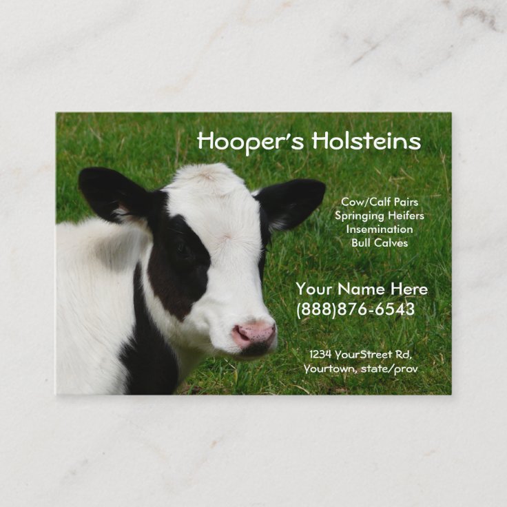 Holstein Cow Dairy Cattle Ranch Business Card | Zazzle
