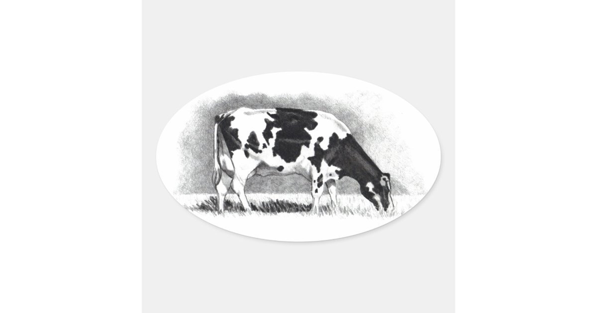 Holstein Cow: Pencil Drawing: Farm, Country Oval Sticker | Zazzle