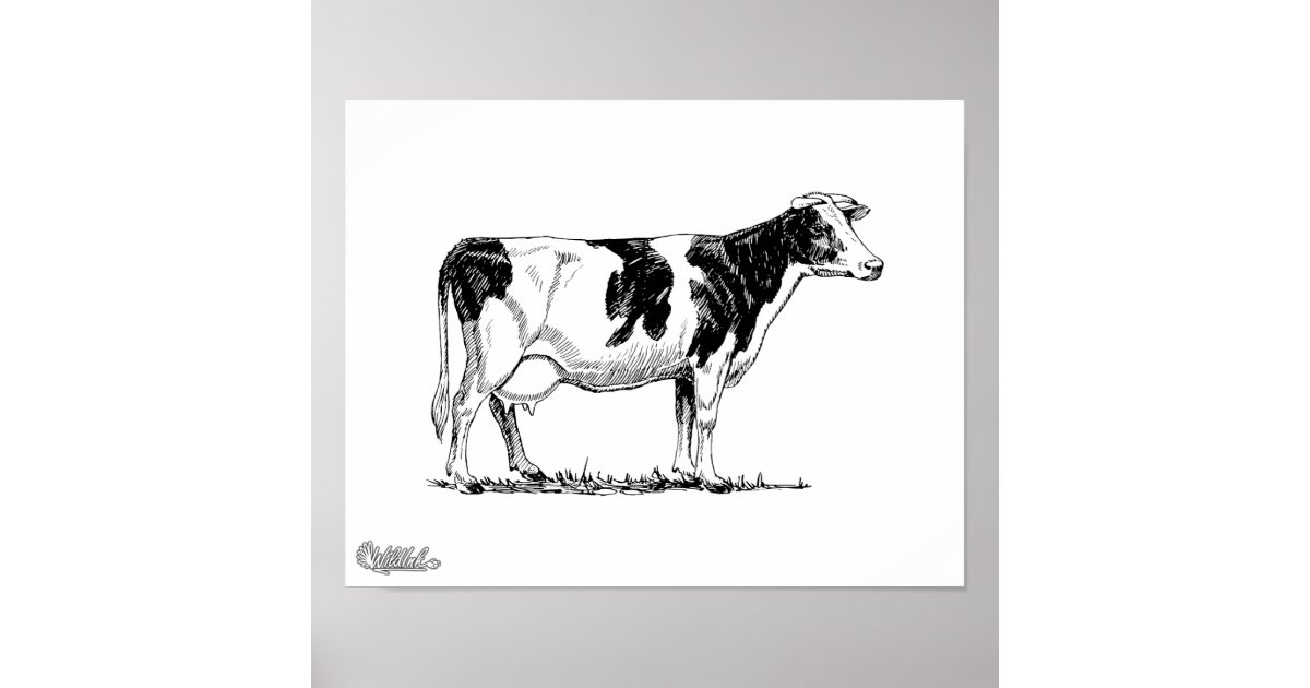 Holstein Cow Poster | Zazzle
