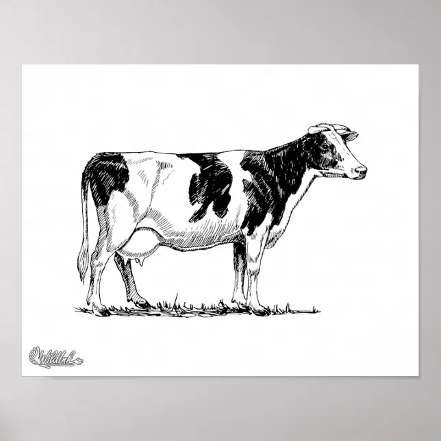 Holstein Cow Poster | Zazzle