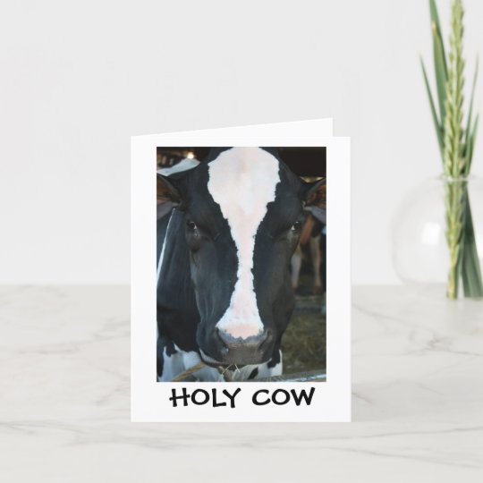 Holy Cow Birthday Card | Zazzle.com