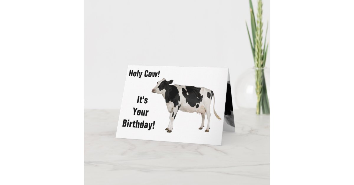 Holy Cow! Birthday Card! Card | Zazzle