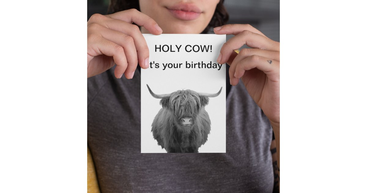 Holy Cow Birthday Highland Cow Card | Zazzle