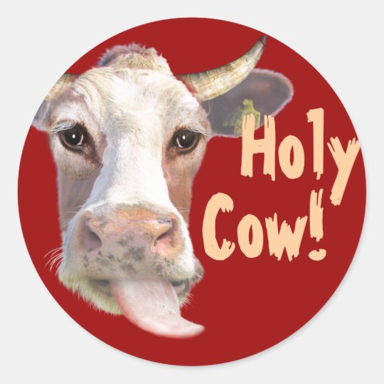 Holy Cow! Classic Round Sticker | Zazzle.com