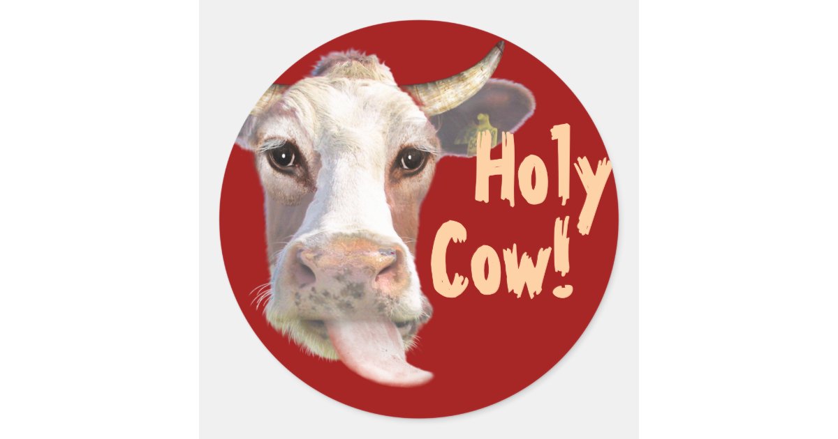 Holy Cow! Classic Round Sticker | Zazzle