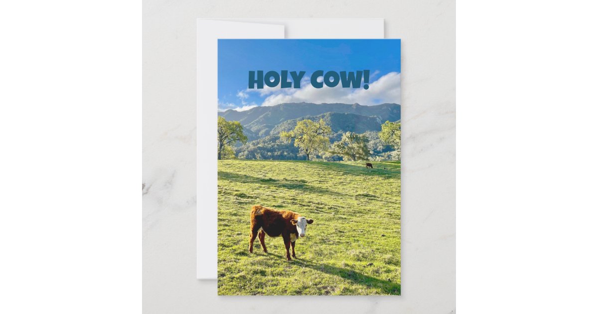 Holy Cow Congratulations Card | Zazzle