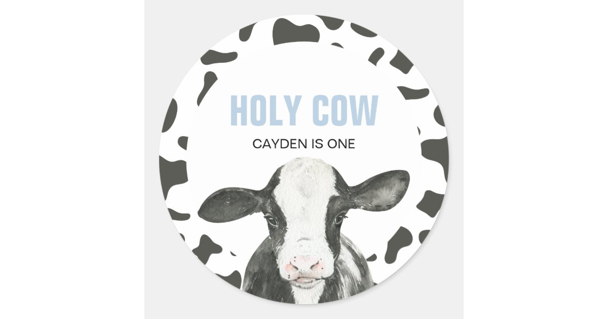 Holy Cow I'm One Cow Print birthday Classic Round Classic Round Sticker ...