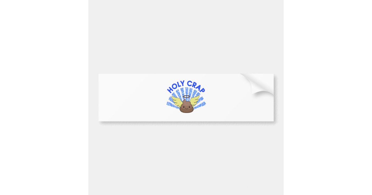 Holy Crap Bumper Sticker | Zazzle
