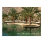 Holy Land Scenes and Images from Israel Postcard | Zazzle.com