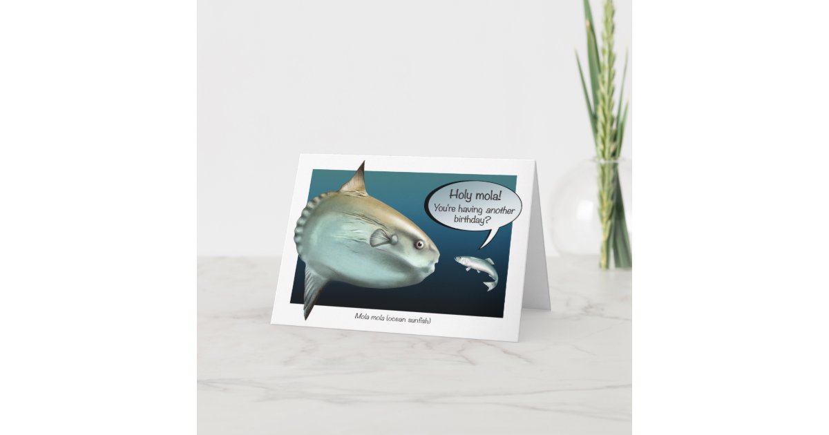 Holy Mola Birthday Card | Zazzle