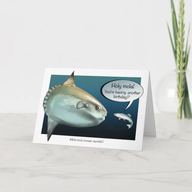 Holy Mola Birthday Card | Zazzle