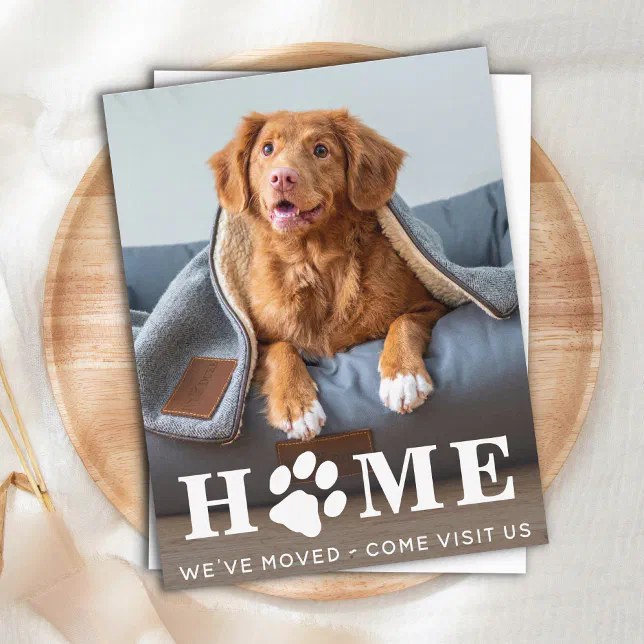 Home Dog Moving We've Moved Announcement Postcard | Zazzle
