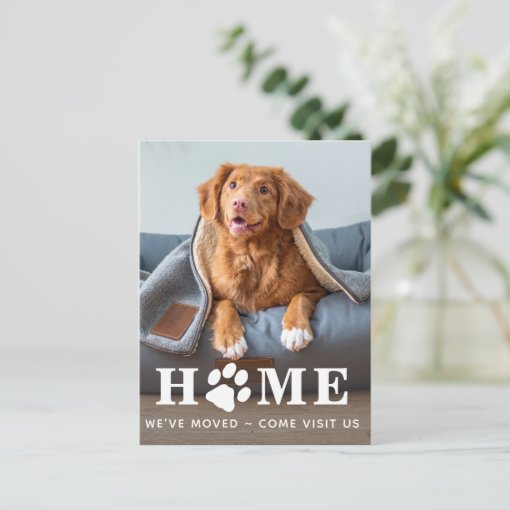 Home Dog Moving We've Moved Announcement Postcard | Zazzle