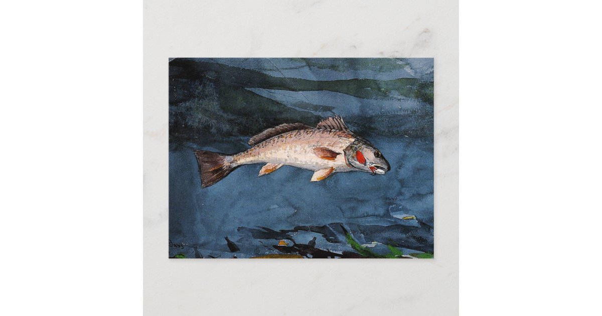 Homer - Channel Bass, Florida Postcard | Zazzle