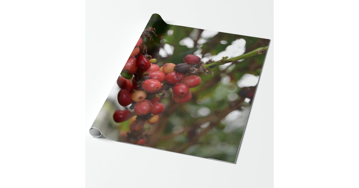 Honduras Coffee Beans Wrapping Paper | Zazzle