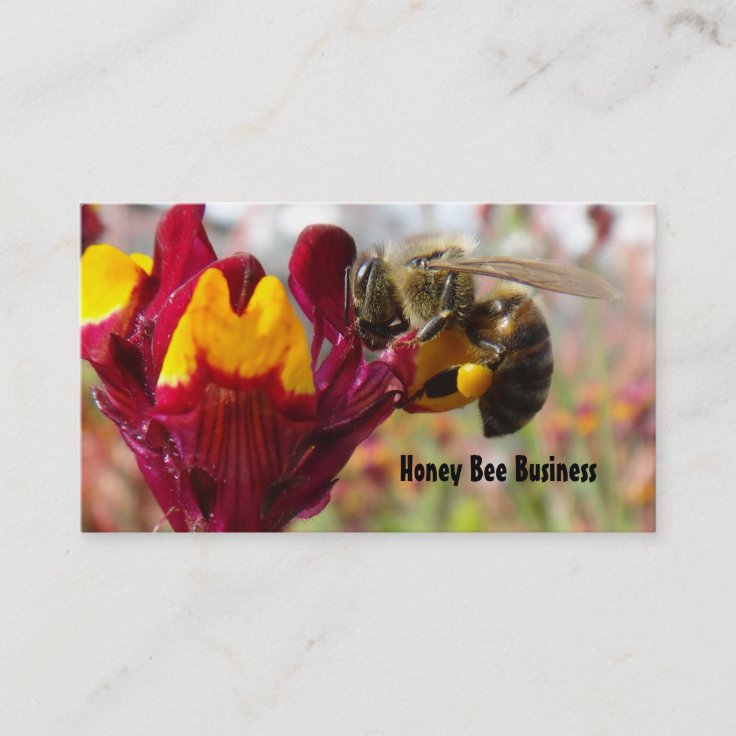 Honey Bee Business Card | Zazzle