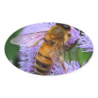 Honey Bee Classic Round Sticker | Zazzle