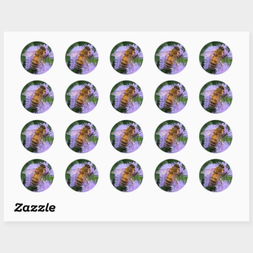 Honey Bee Classic Round Sticker | Zazzle
