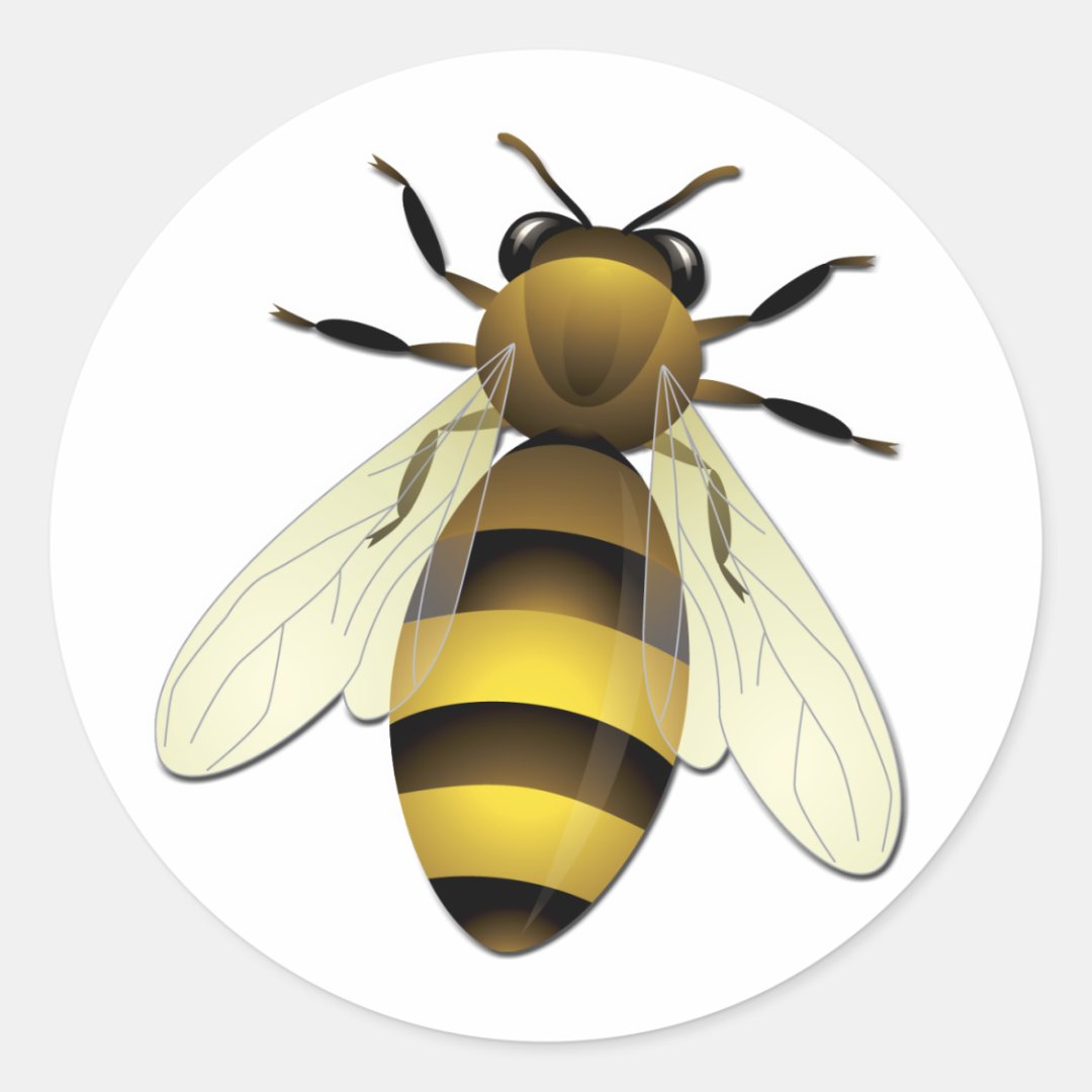 Honey Bee Classic Round Sticker | Zazzle