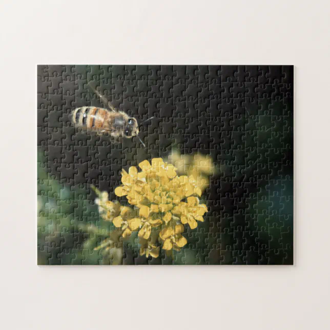 honey bee jigsaw puzzle | Zazzle
