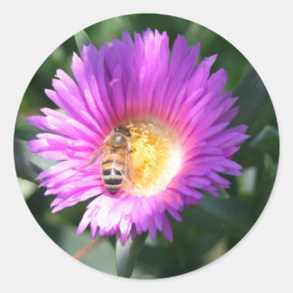 Honey Bee Stickers | Zazzle