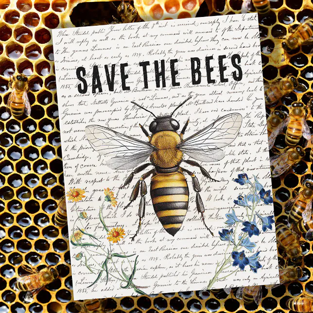Honey Bee Save the Bees Script Flowers Postcard | Zazzle