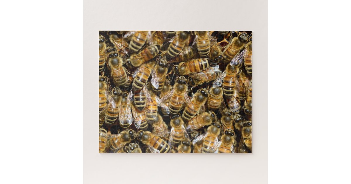Honey Bees Photo Puzzle | Zazzle