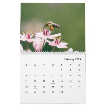 Honeybee Wall Calendar | Zazzle