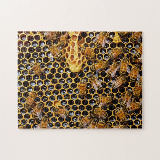 Honeycomb and Bees Jigsaw Puzzle | Zazzle.com