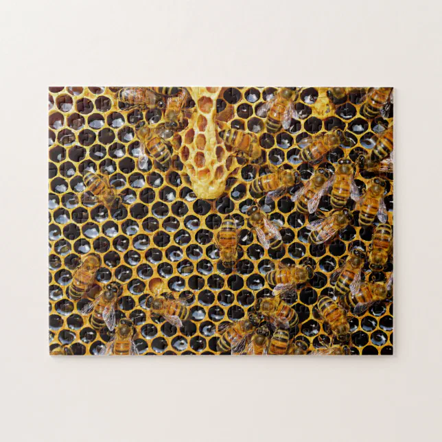 Honeycomb and Bees Jigsaw Puzzle | Zazzle