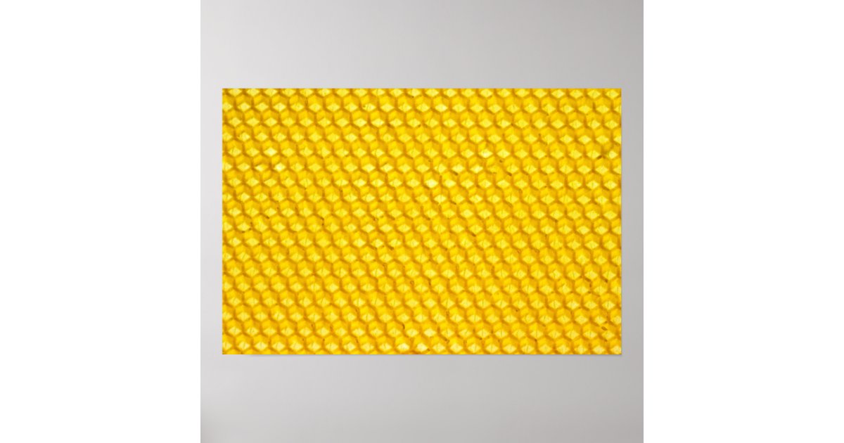 Honeycomb Poster | Zazzle