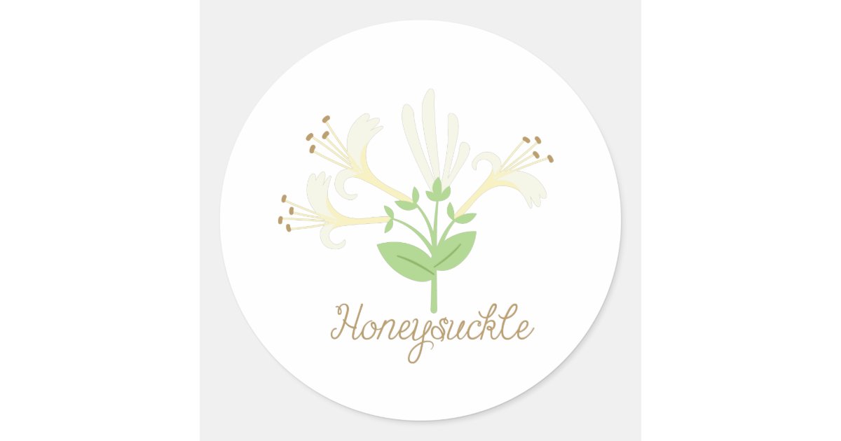 Honeysuckle Classic Round Sticker | Zazzle