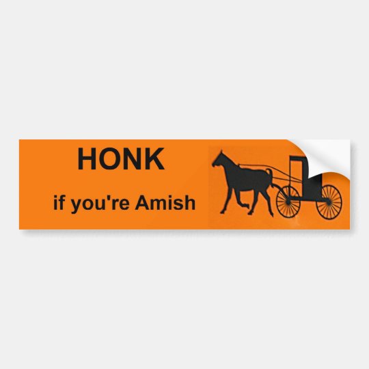 HONK BUMPER STICKER | Zazzle.com