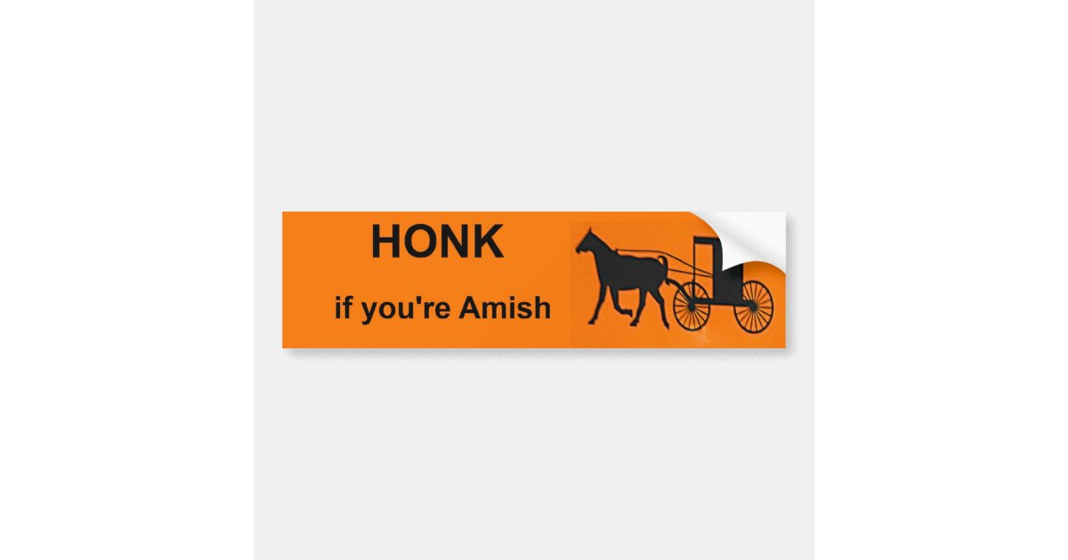 HONK BUMPER STICKER | Zazzle