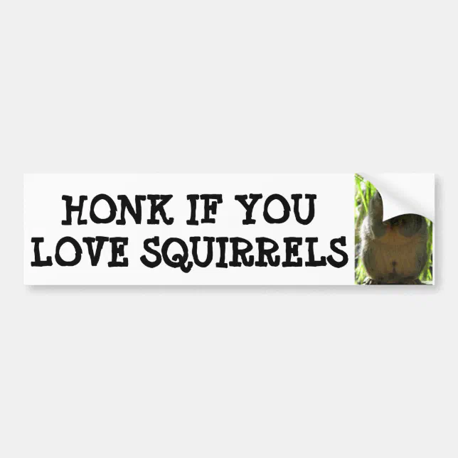 HONK IF YOU LOVE SQUIRRELS BUMPER STICKER | Zazzle