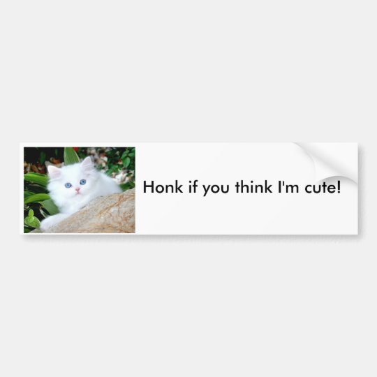 Honk if you think I'm cute! Bumper Sticker | Zazzle.com