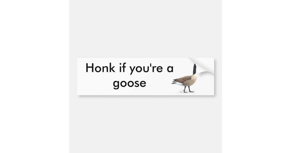 Honk if you're a goose bumper sticker | Zazzle