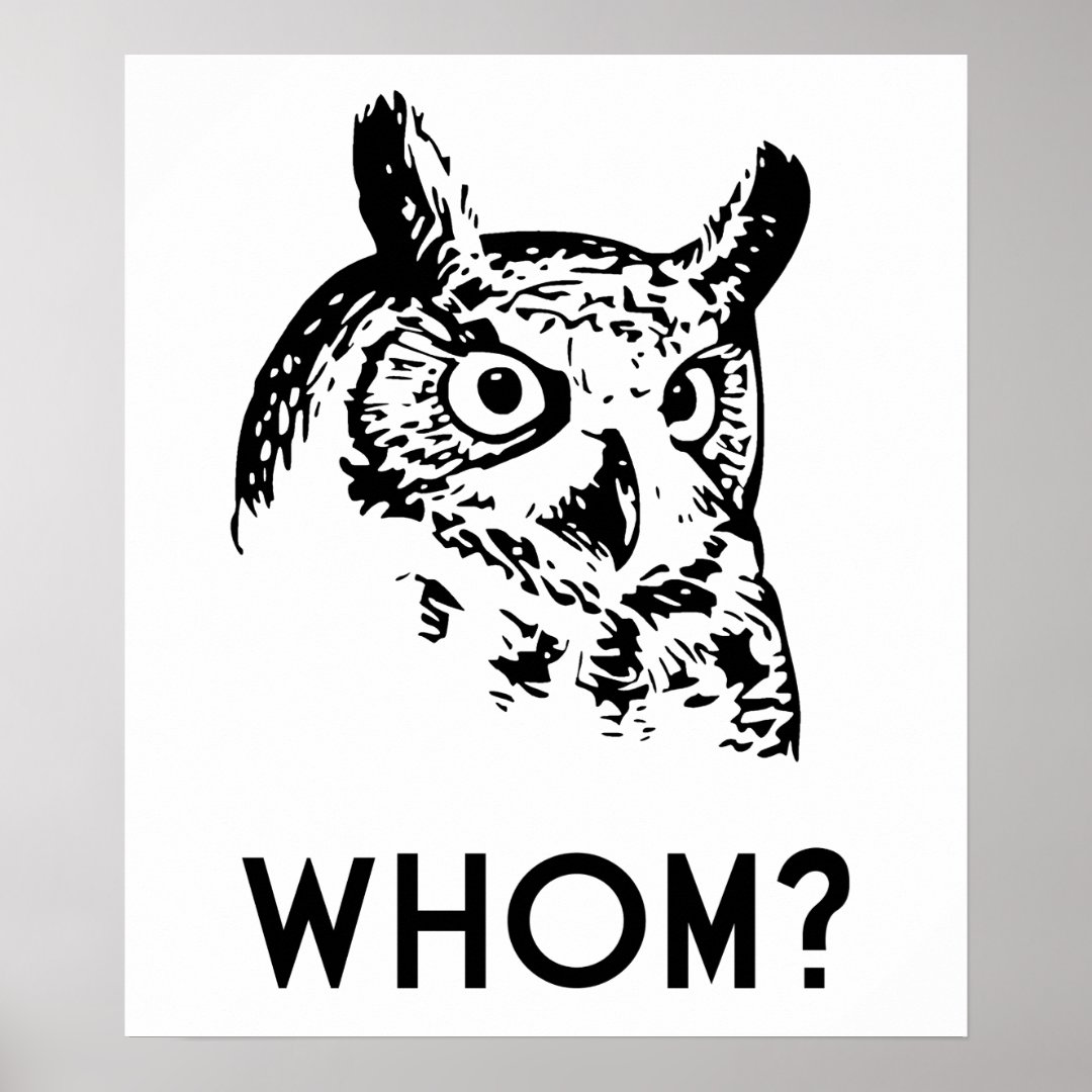 Hoo Who Whom Grammar Owl Poster | Zazzle