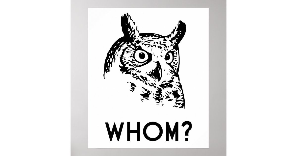 Hoo Who Whom Grammar Owl Poster | Zazzle