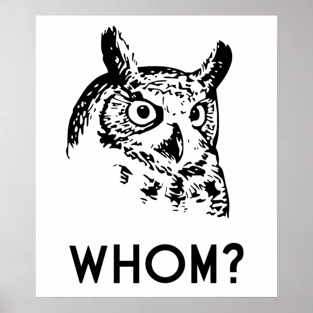 Hoo Who Whom Grammar Owl Poster | Zazzle