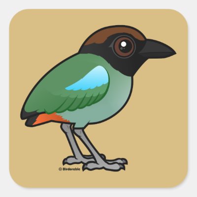 Cute Hooded Pitta by Birdorable