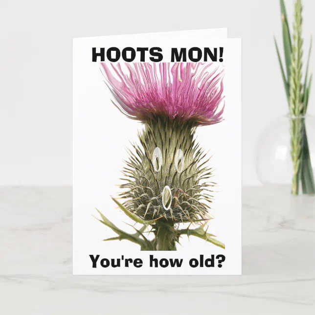 Hoots Mon! Greeting Card | Zazzle
