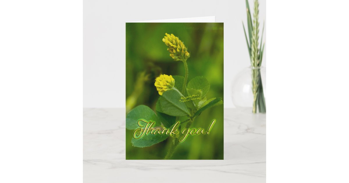 Hop Clover Blossom Thank You Card | Zazzle