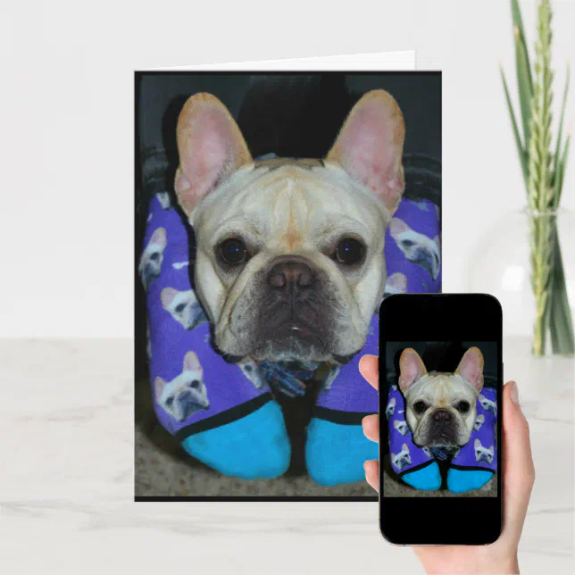 Hope Your Day Is Dog-Gone Great Any Occasion Card | Zazzle