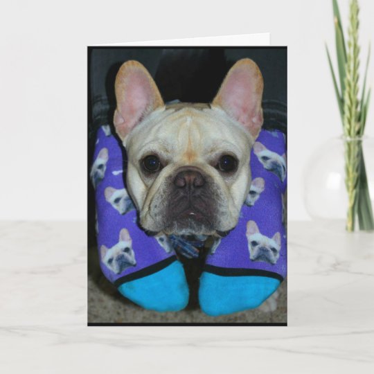 Hope Your Day Is Dog-Gone Great Any Occasion Card | Zazzle.com