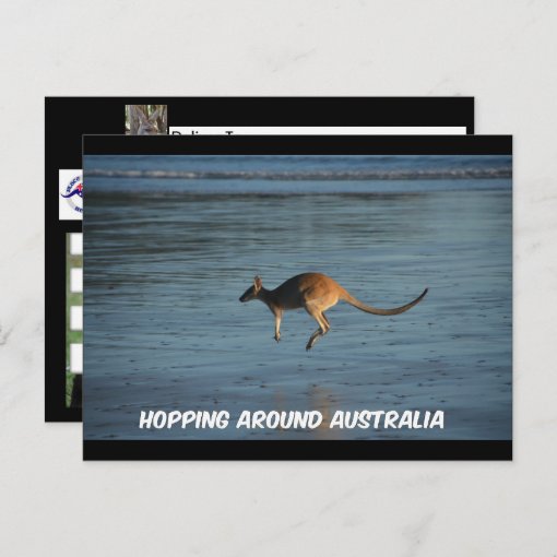 Hopping Around Australia Kangaroo Postcard | Zazzle