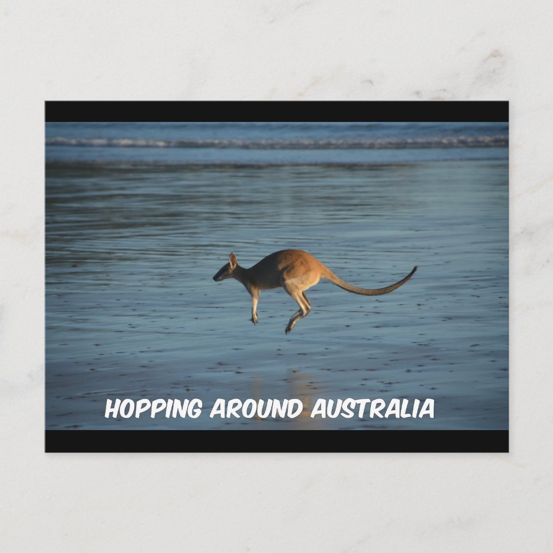 Hopping Around Australia Kangaroo Postcard | Zazzle