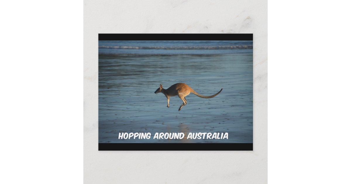Hopping Around Australia Kangaroo Postcard | Zazzle